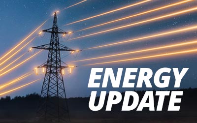 Monthly Newsletters | MEGA